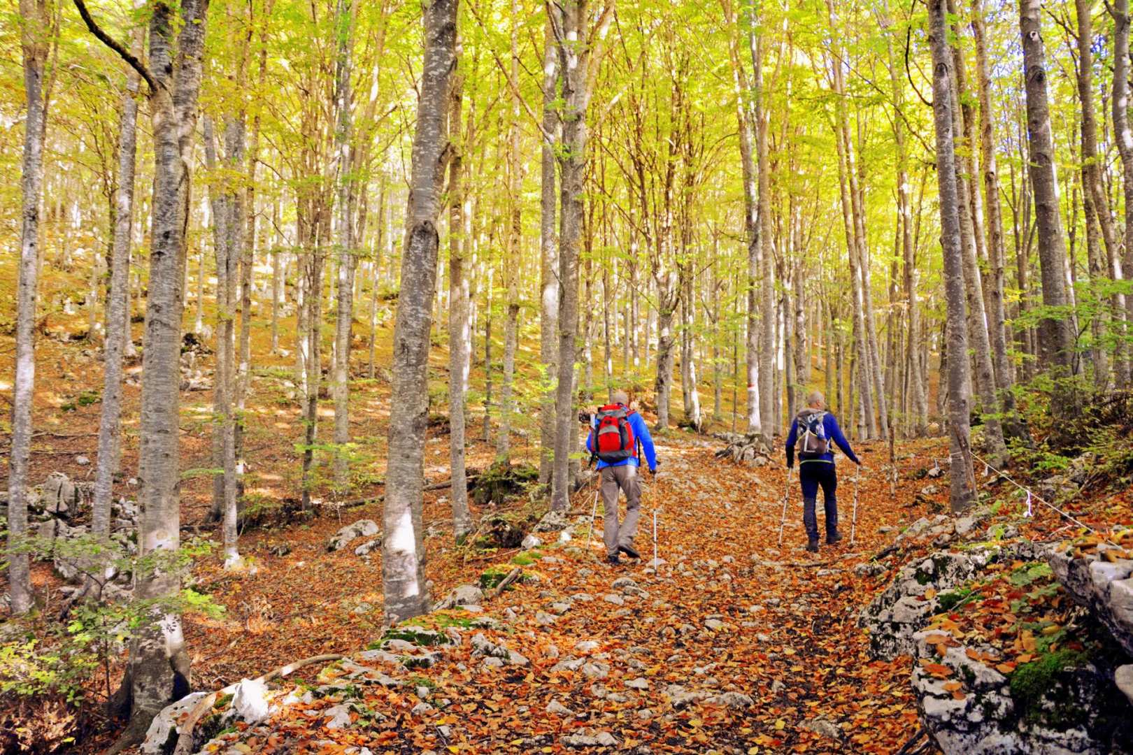 Walking Holidays in the UK — Contours Walking Holidays