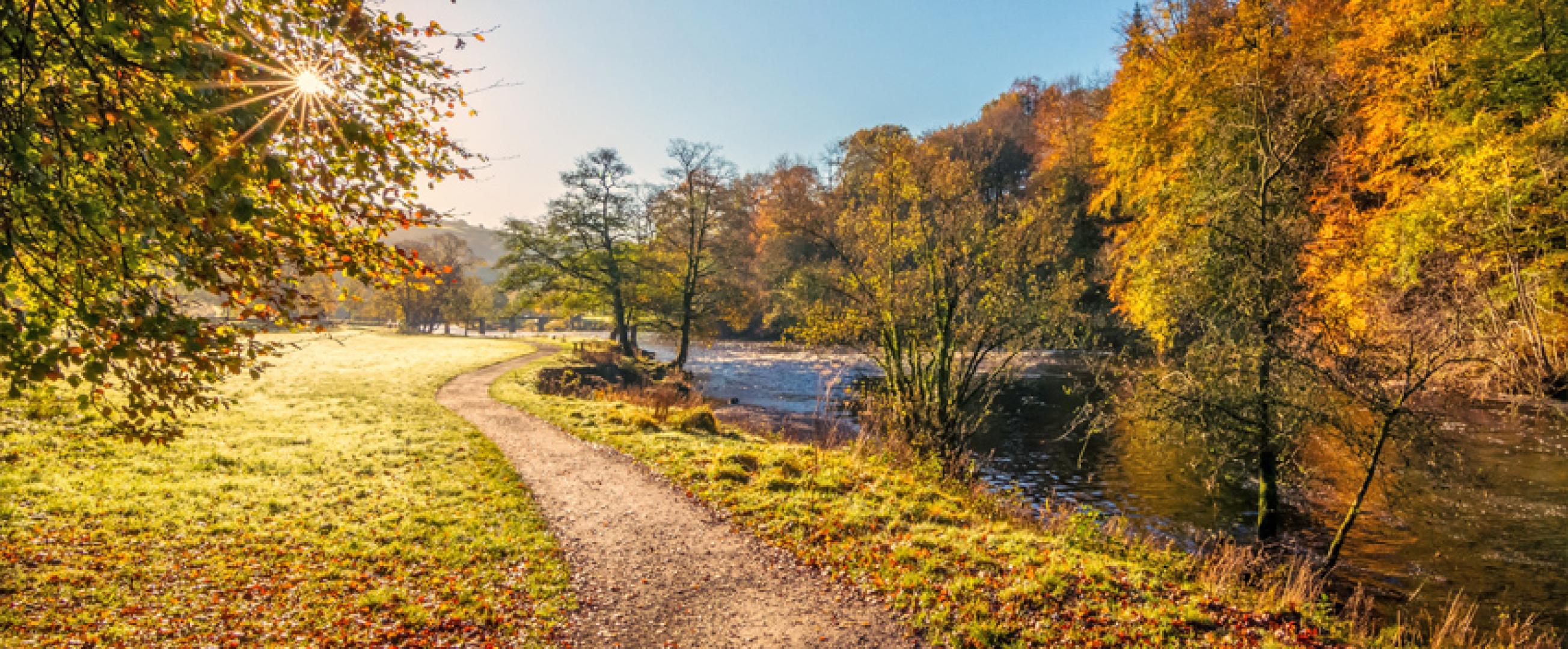 Why Walk in Autumn? — Contours Walking Holidays