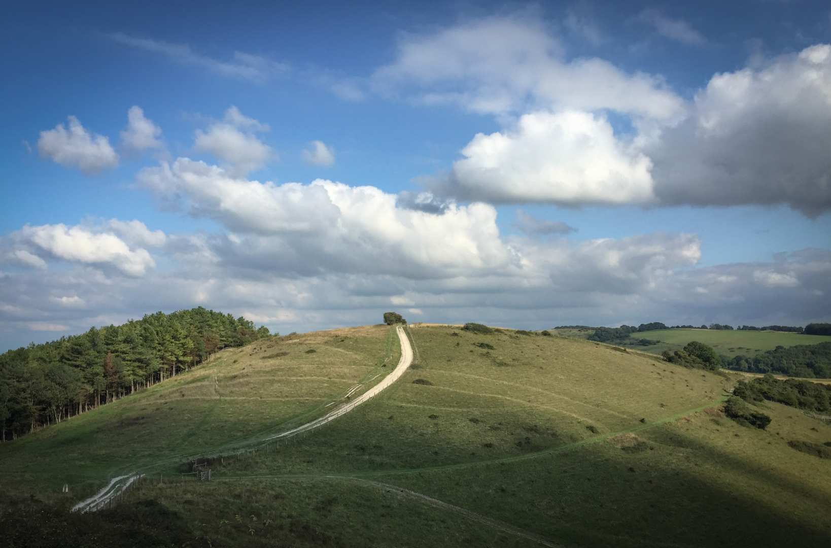 Keith Foskett: Getting Lost on the South Downs Way — Contours Walking ...