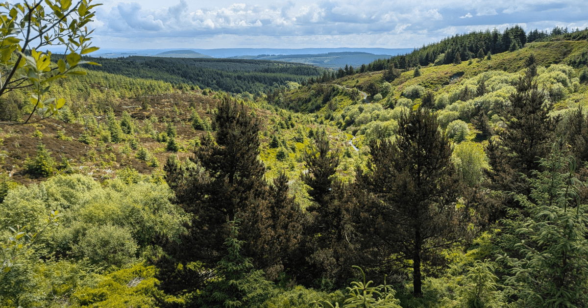 Pilgrim Routes in the UK — Contours Walking Holidays