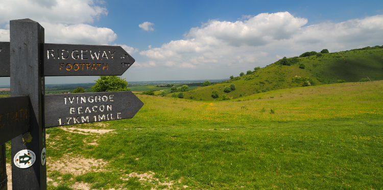 Returning to the Ridgeway — Contours Walking Holidays