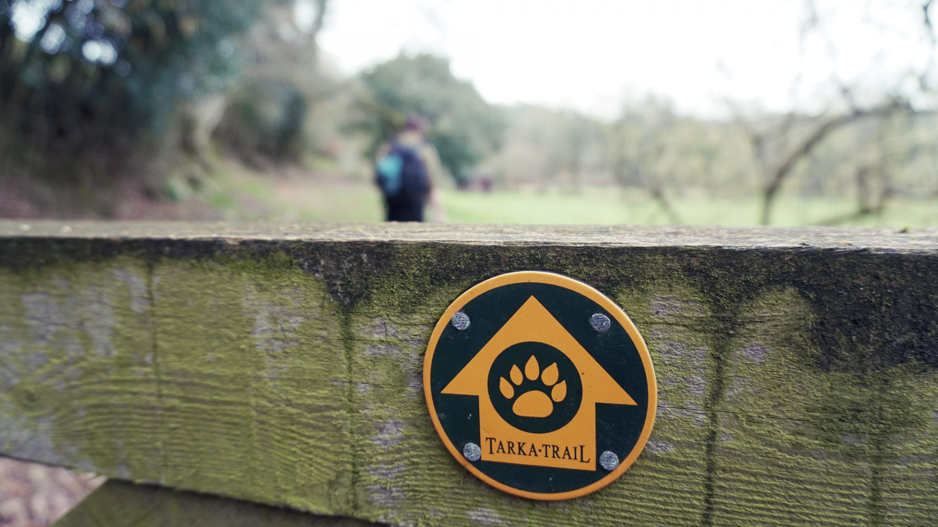 Walking the Tarka Trail — Contours Walking Holidays