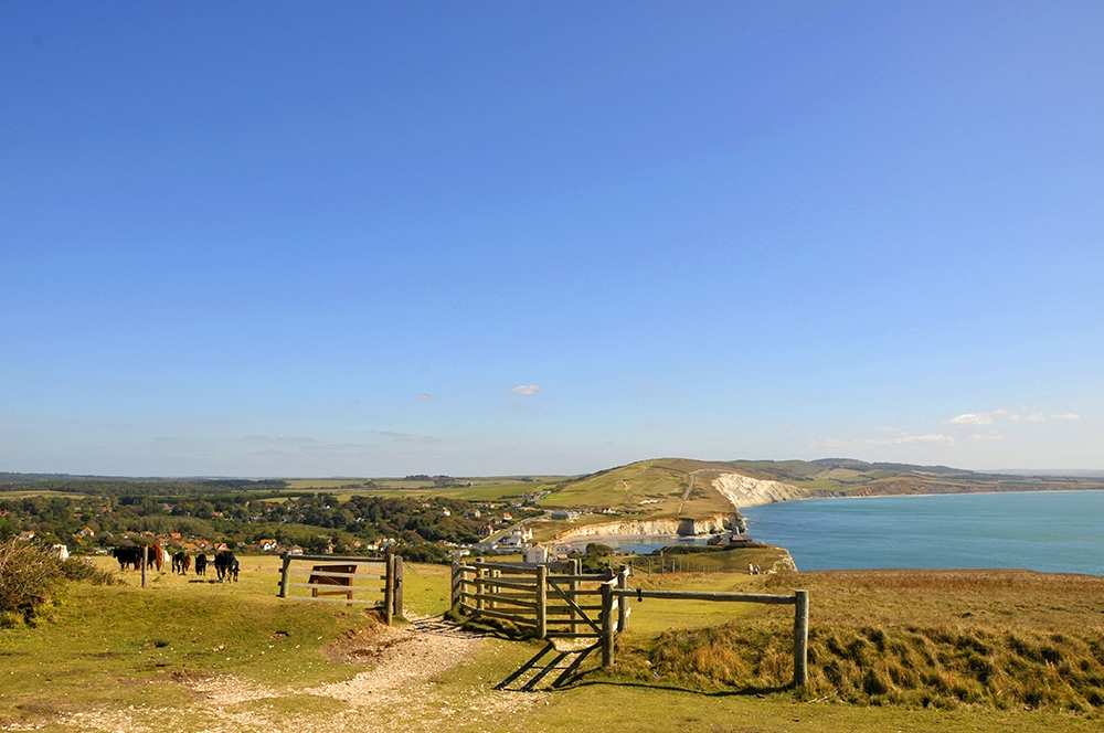 Isle of Wight Coastal Path — Contours Walking Holidays