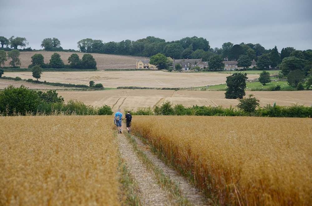 Cotswold Way in 6 to 13 days — Contours Walking Holidays