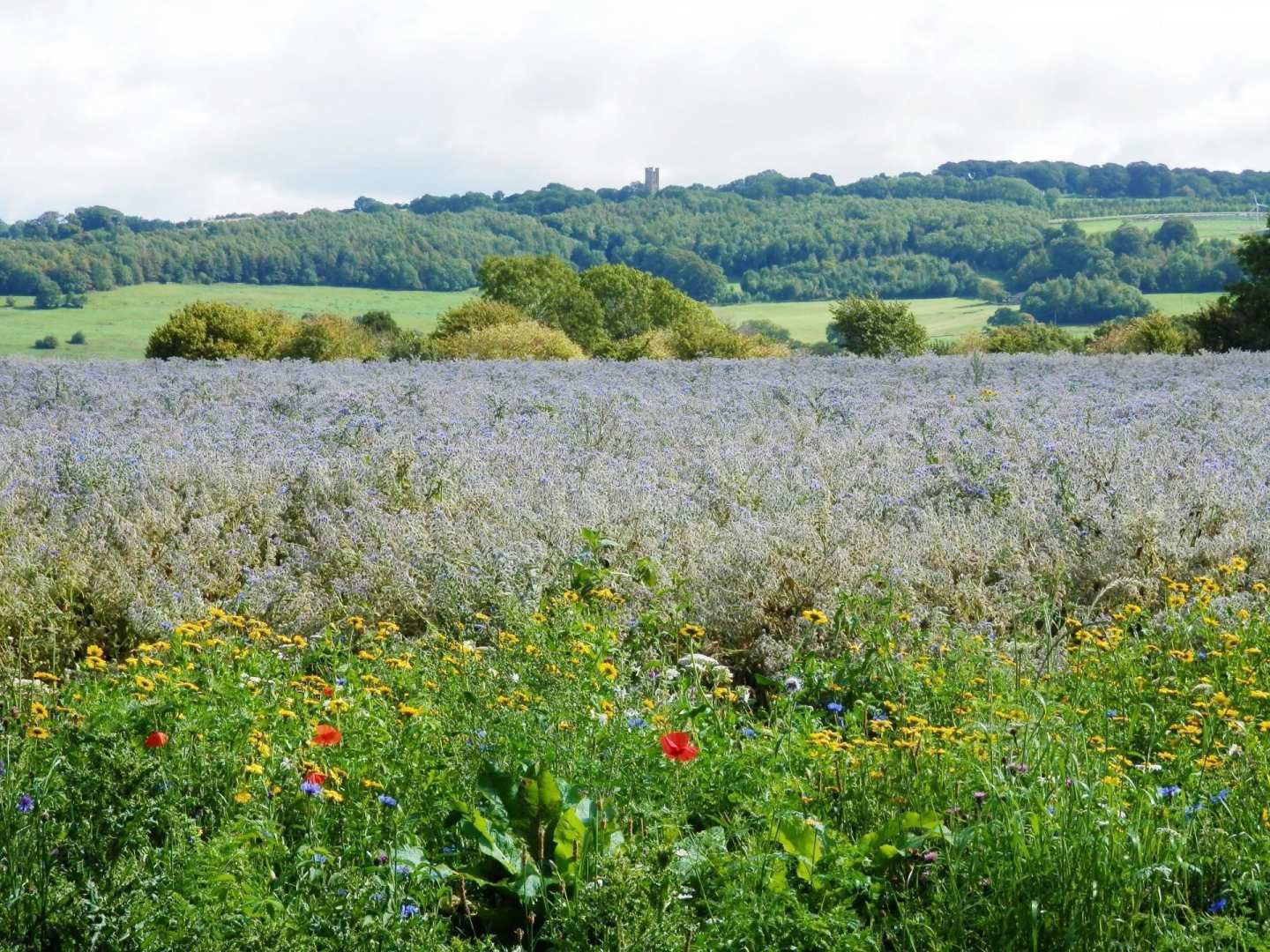 Cotswold Villages Trail in 6 Days — Contours Walking Holidays