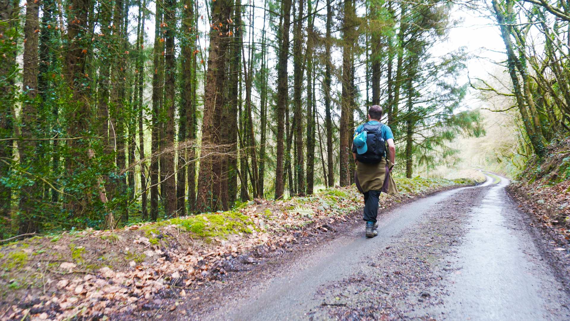 Tarka Trail — Contours Walking Holidays