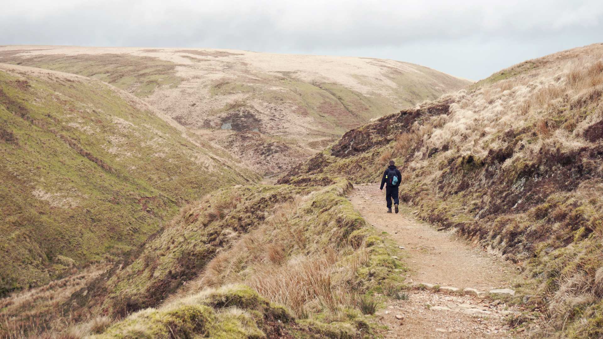 Tarka Trail — Contours Walking Holidays