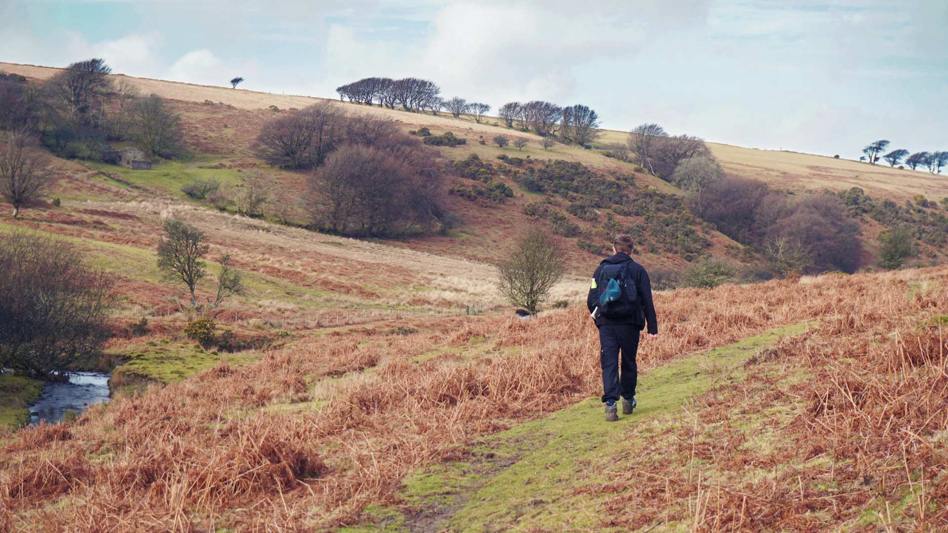 Tarka Trail — Contours Walking Holidays