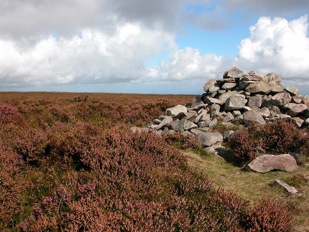 Coleridge Way — Contours Walking Holidays