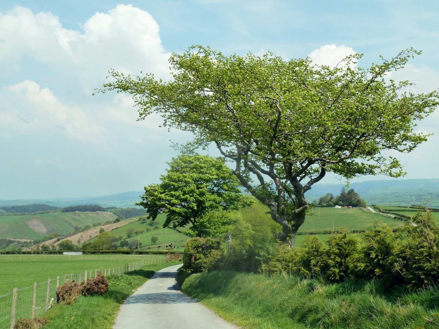 Severn Way — Contours Walking Holidays