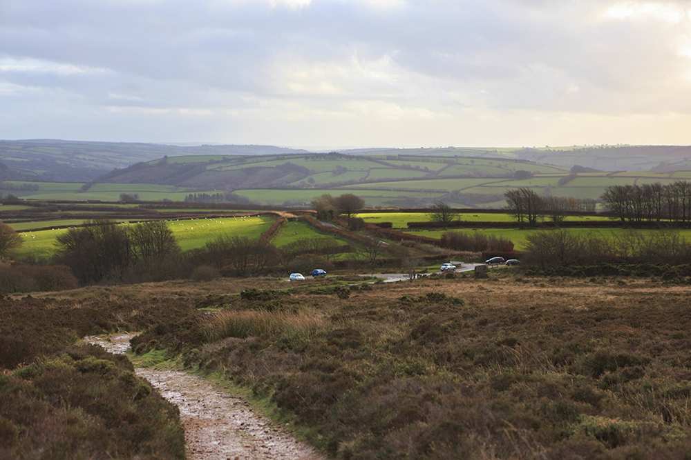 Coleridge Way — Contours Walking Holidays