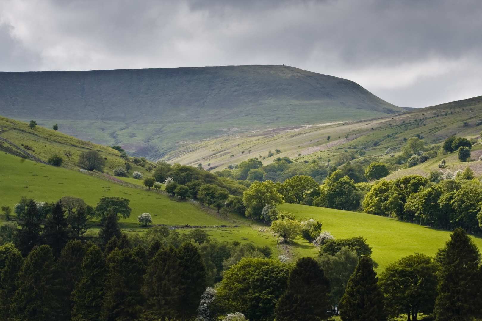 Meirionnydd Coast Path — Contours Walking Holidays