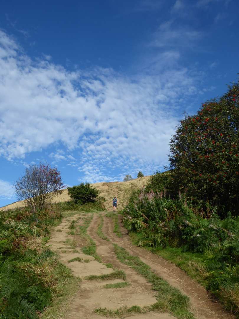 Cleveland Way Walking Holidays — Contours Walking Holidays