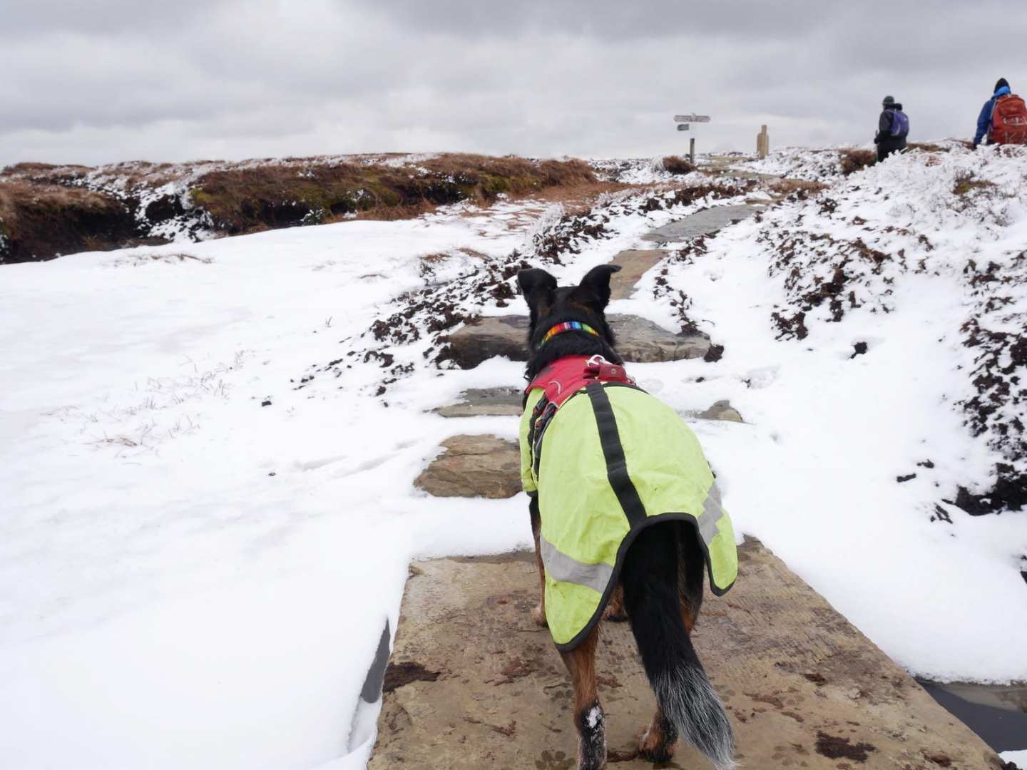 Wainwright's Coast to Coast Walk — Contours Walking Holidays
