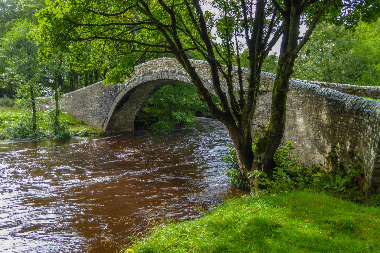 Wainwright's Coast to Coast Walk — Contours Walking Holidays