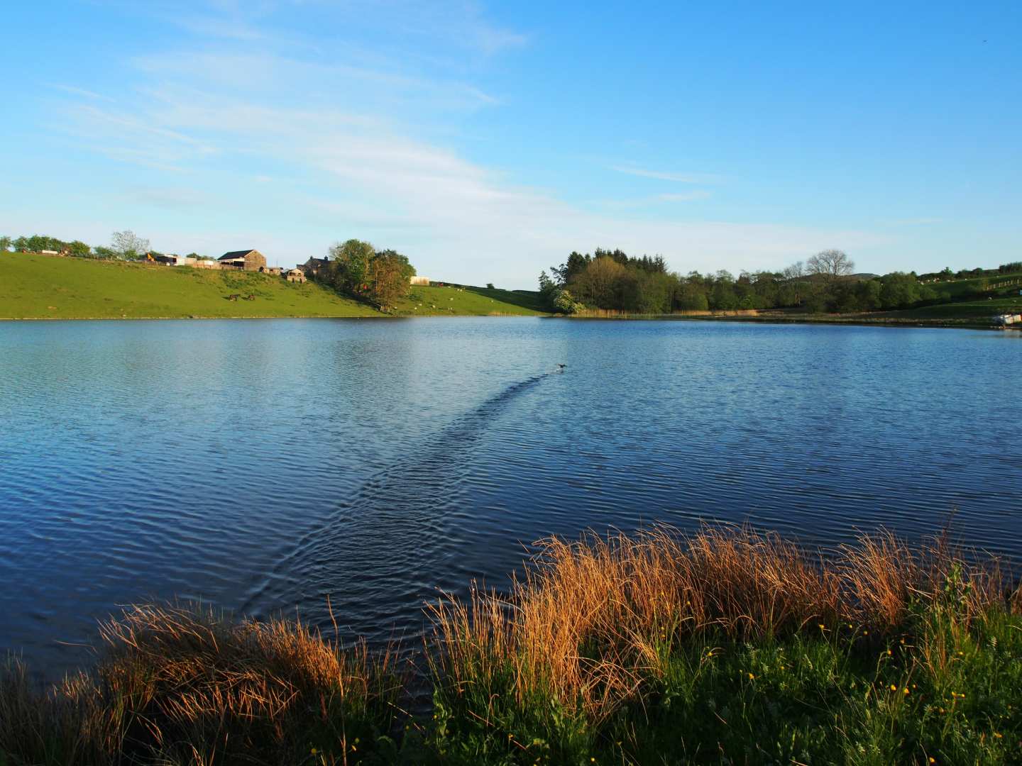 Dales Way — Contours Walking Holidays