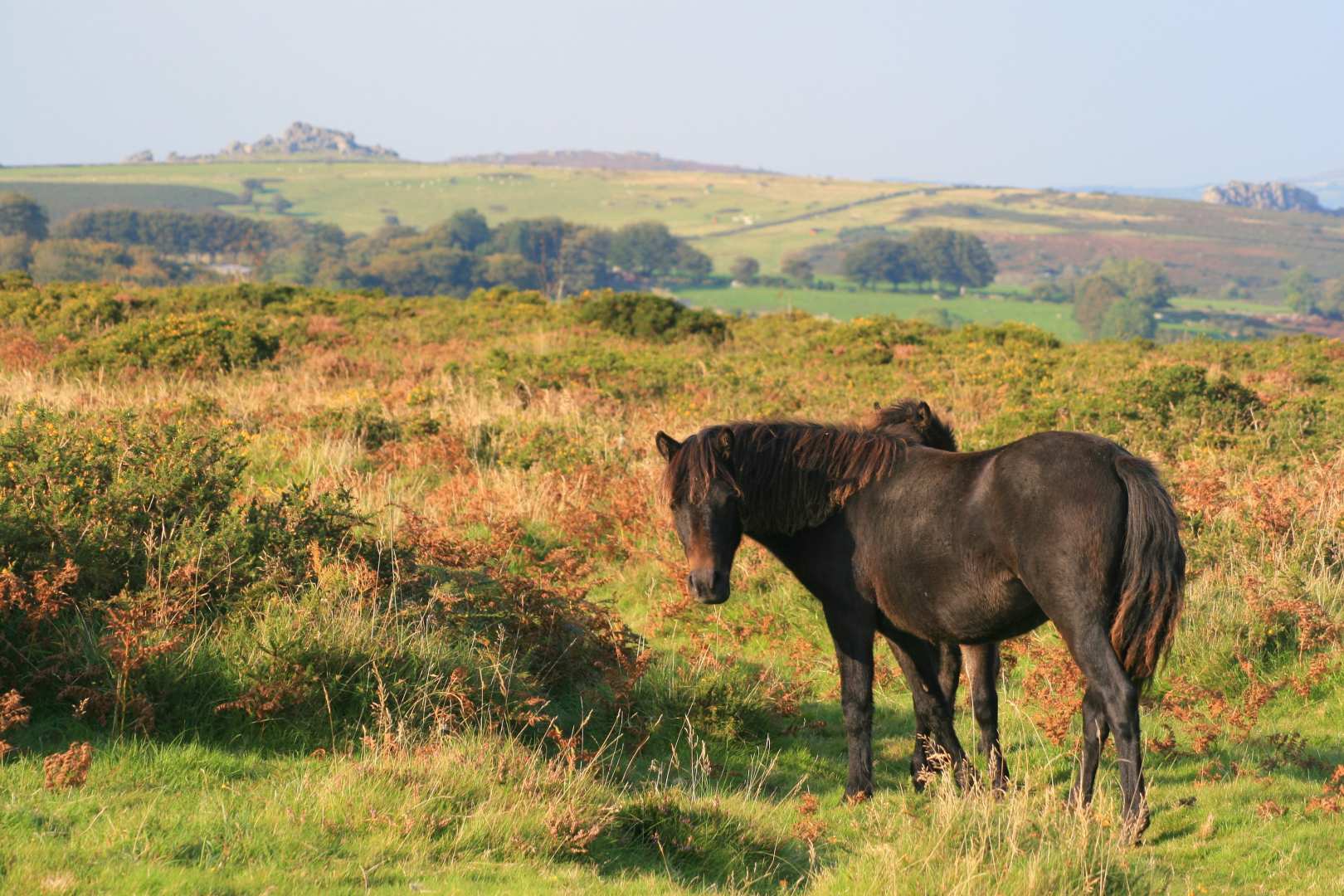 Two Moors Way through Exmoor in 3-5 Days — Contours Walking Holidays