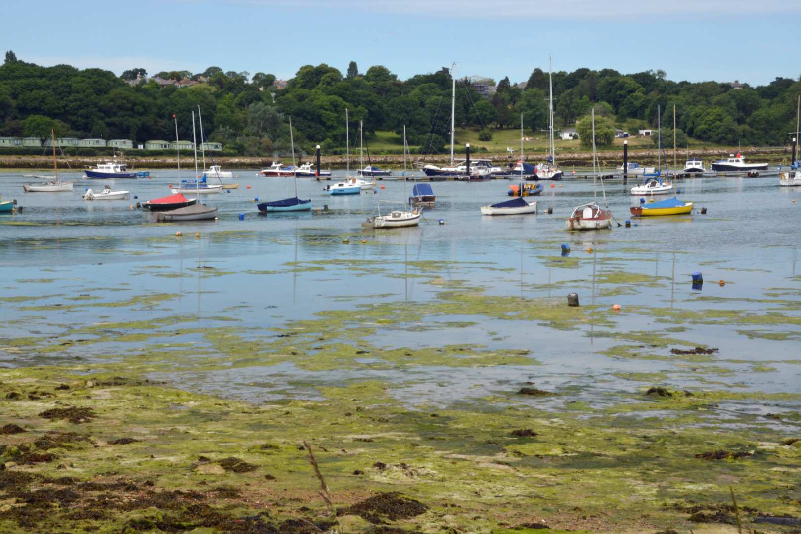 Isle of Wight Coastal Path — Contours Walking Holidays