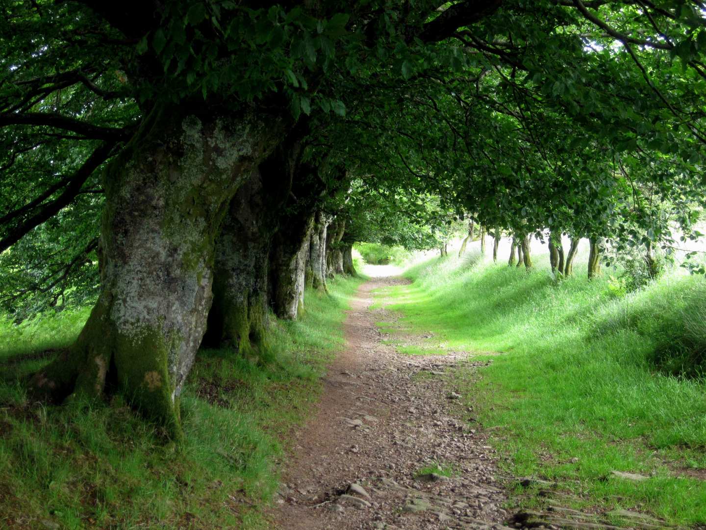 John Muir Way — Contours Walking Holidays