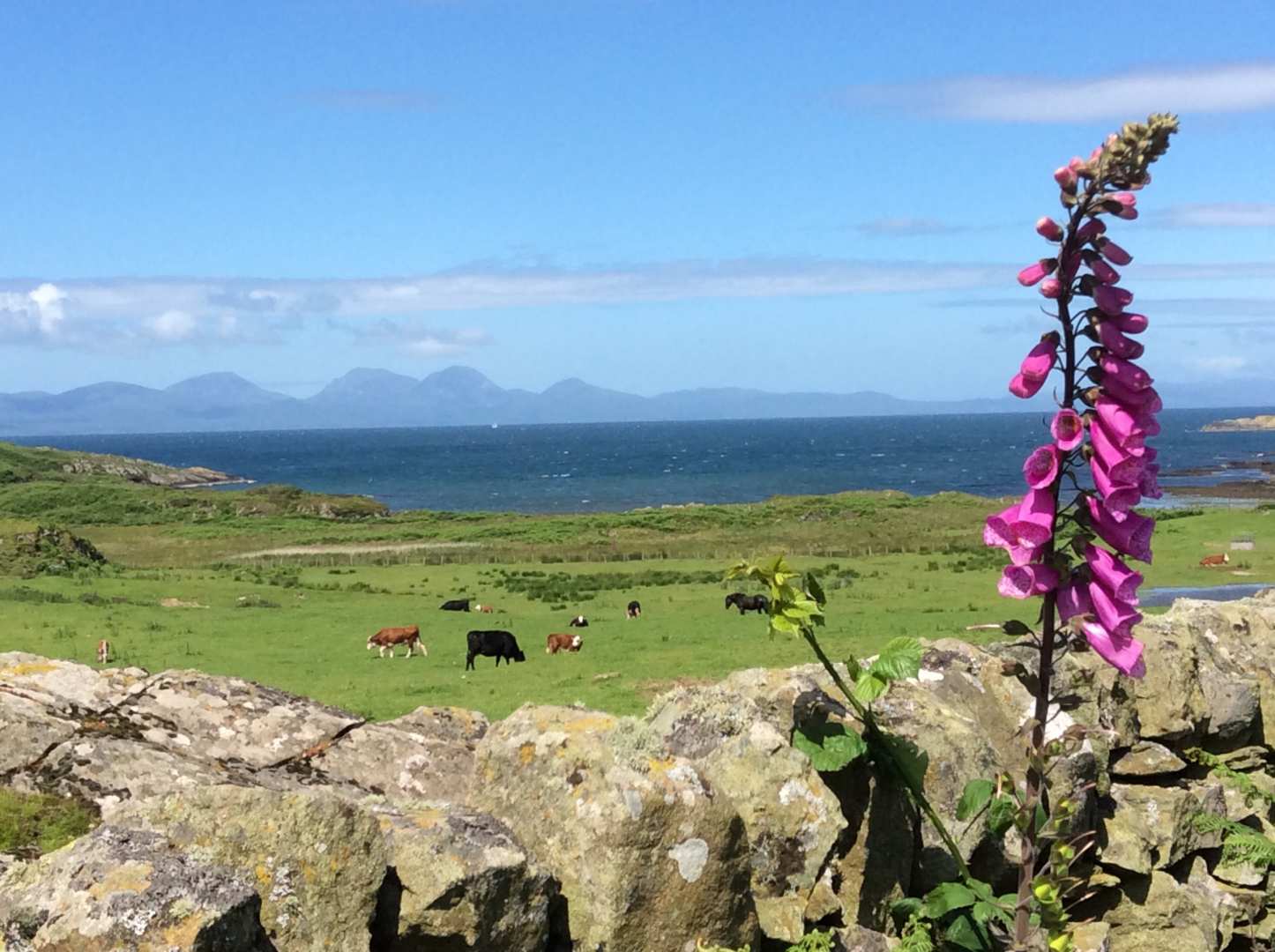 Kintyre Way — Contours Walking Holidays