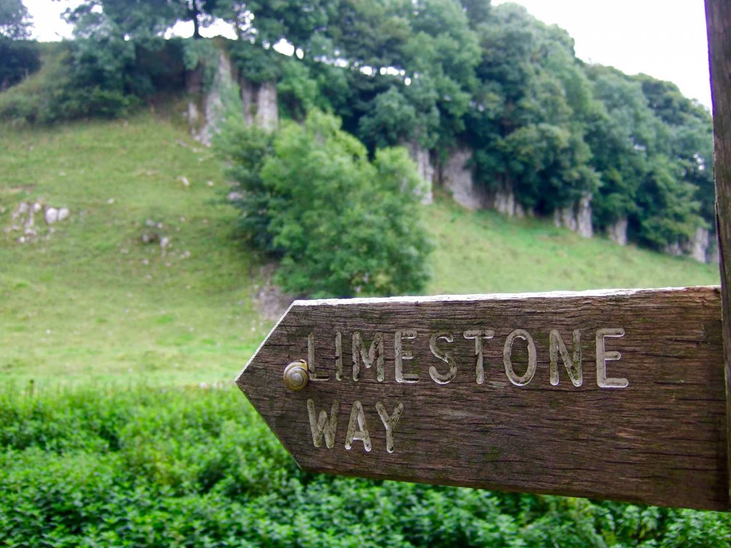 Limestone Way — Contours Walking Holidays
