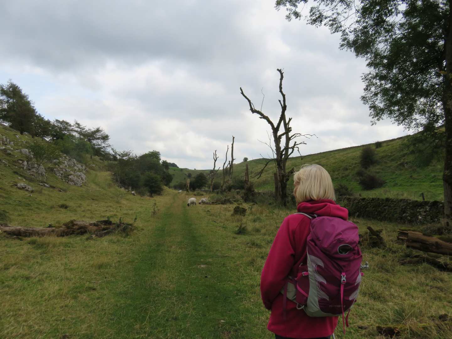 Limestone Way — Contours Walking Holidays