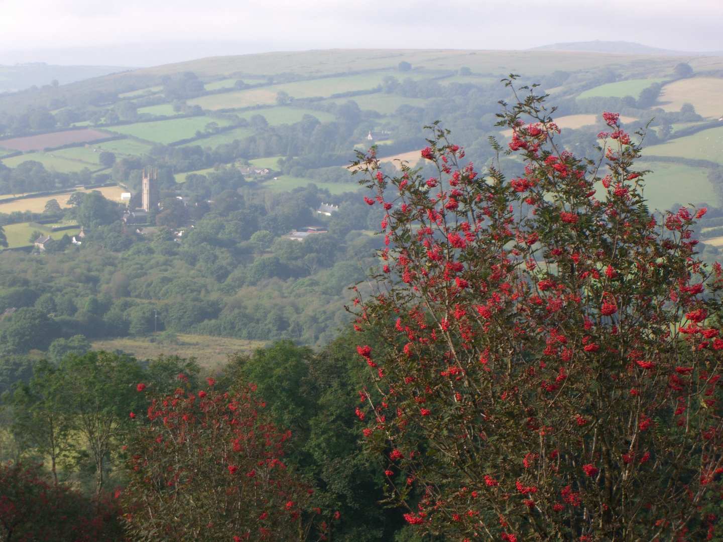 Two Moors Way through Dartmoor — Contours Walking Holidays