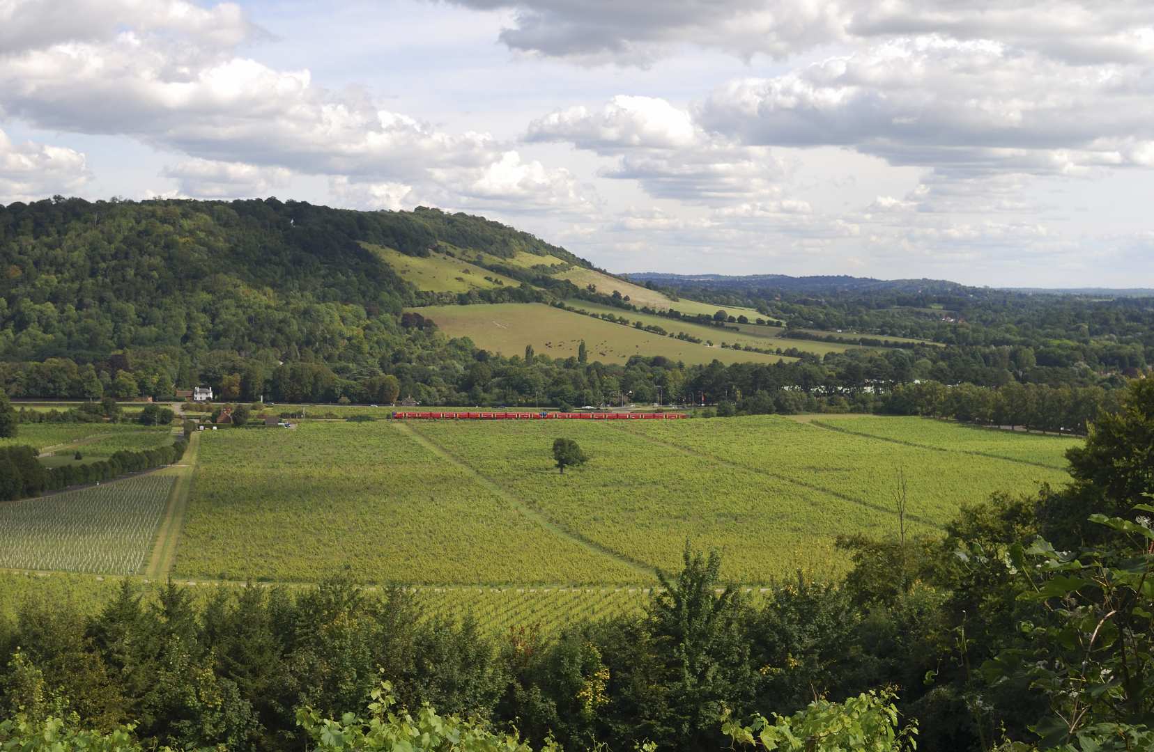North Downs Way Via Canterbury — Contours Walking Holidays