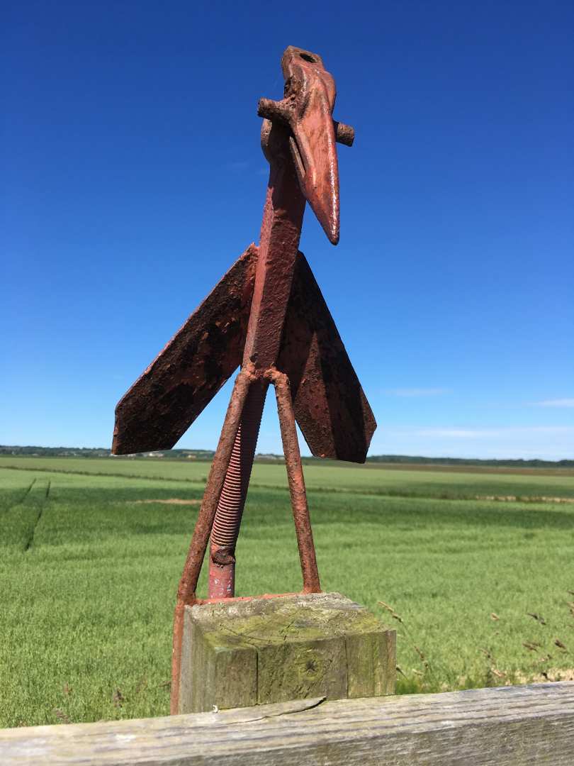 Northumberland Coast Path — Contours Walking Holidays