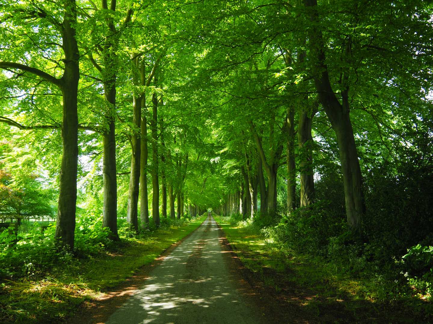 The Ridgeway — Contours Walking Holidays