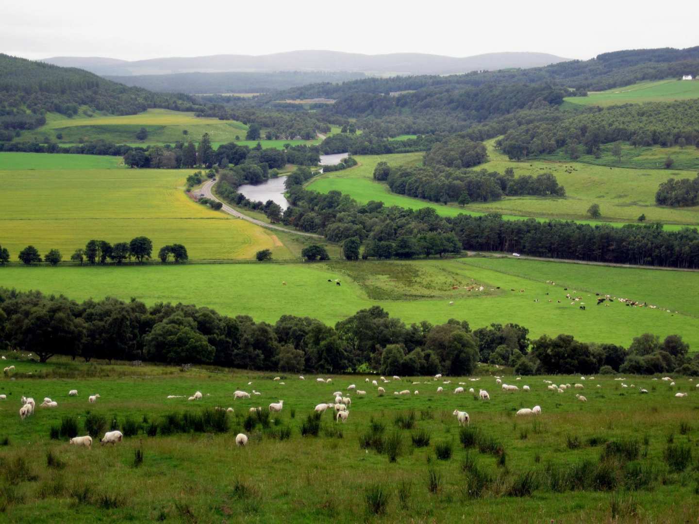 Walking Holidays in Scotland — Contours Walking Holidays