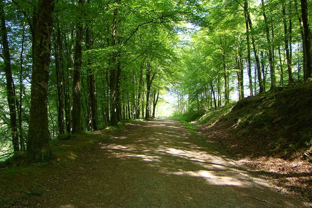 Tarka Trail — Contours Walking Holidays