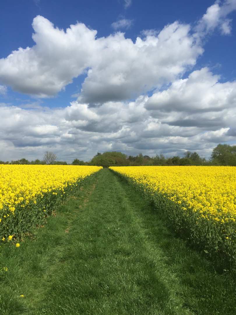 Eastern Thames Path in 6-7 Days — Contours Walking Holidays