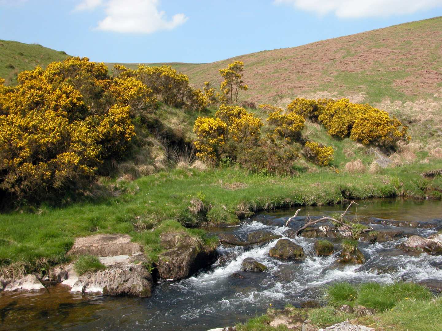 Two Moors Way through Dartmoor — Contours Walking Holidays