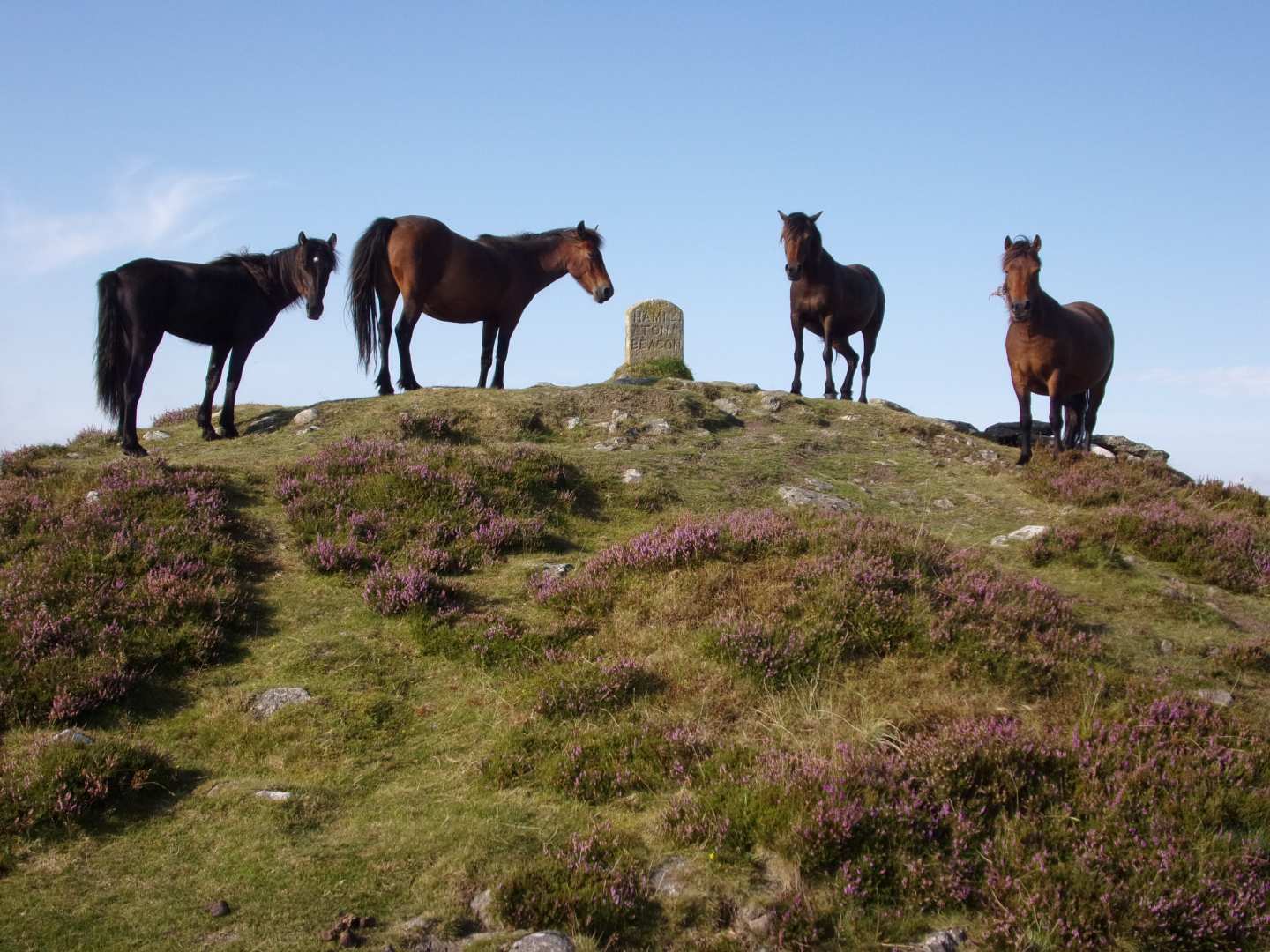 Two Moors Way — Contours Walking Holidays