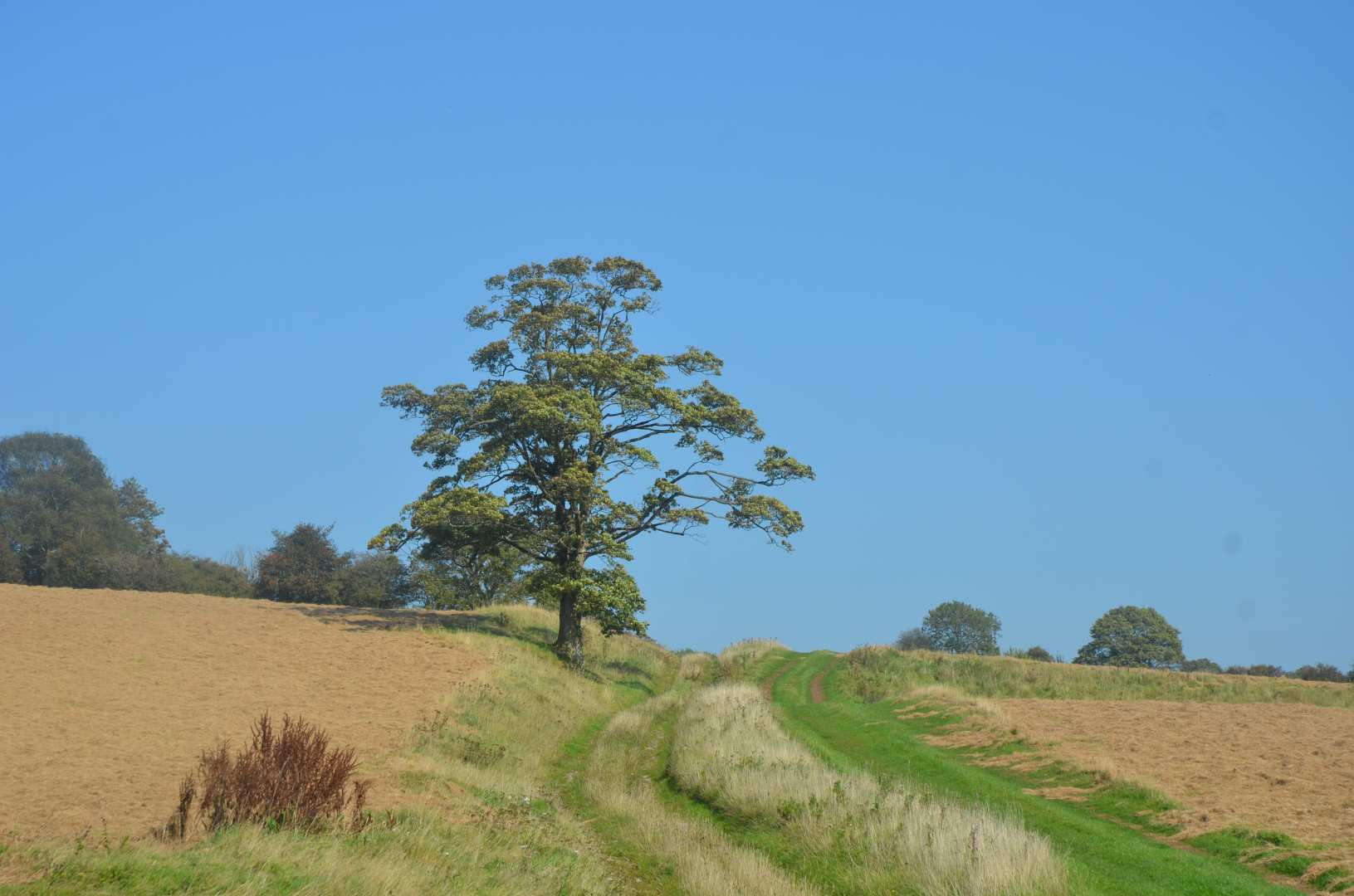 Usk Valley Walk — Contours Walking Holidays
