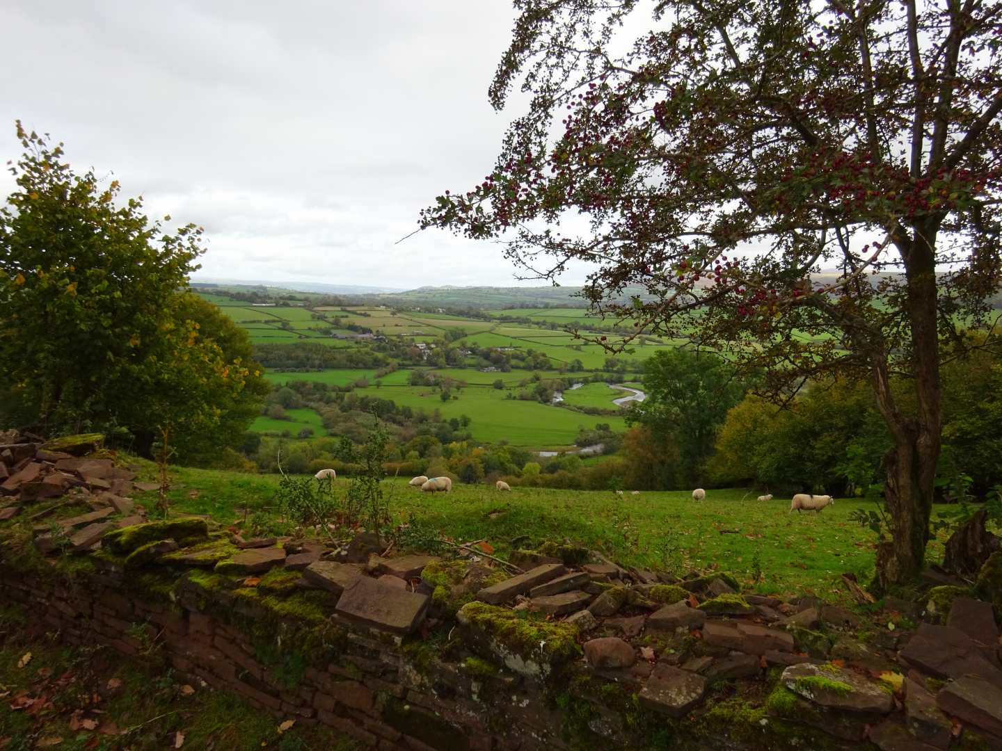 Usk Valley Walk — Contours Walking Holidays
