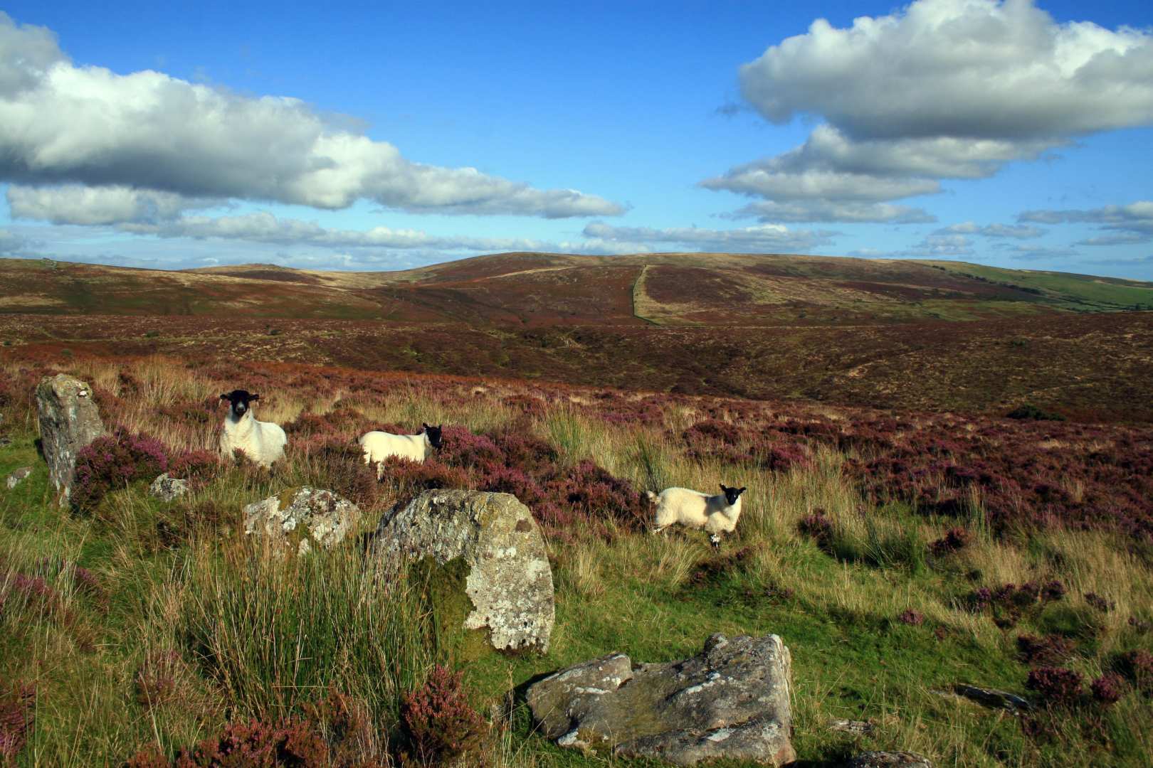 Two Moors Way — Contours Walking Holidays