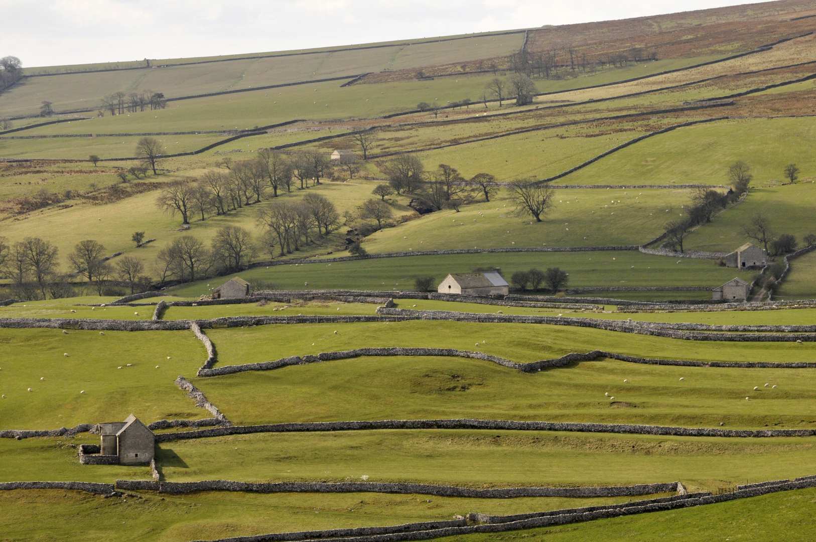 Dales Way — Contours Walking Holidays