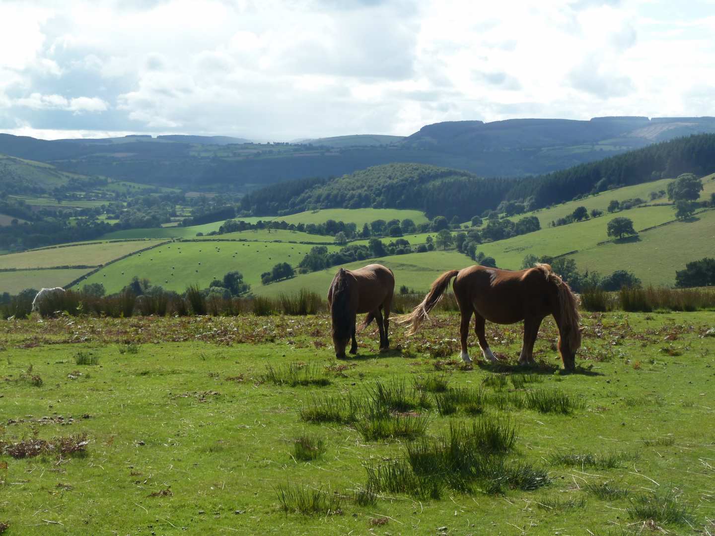 Shropshire Hills Walk — Contours Walking Holidays