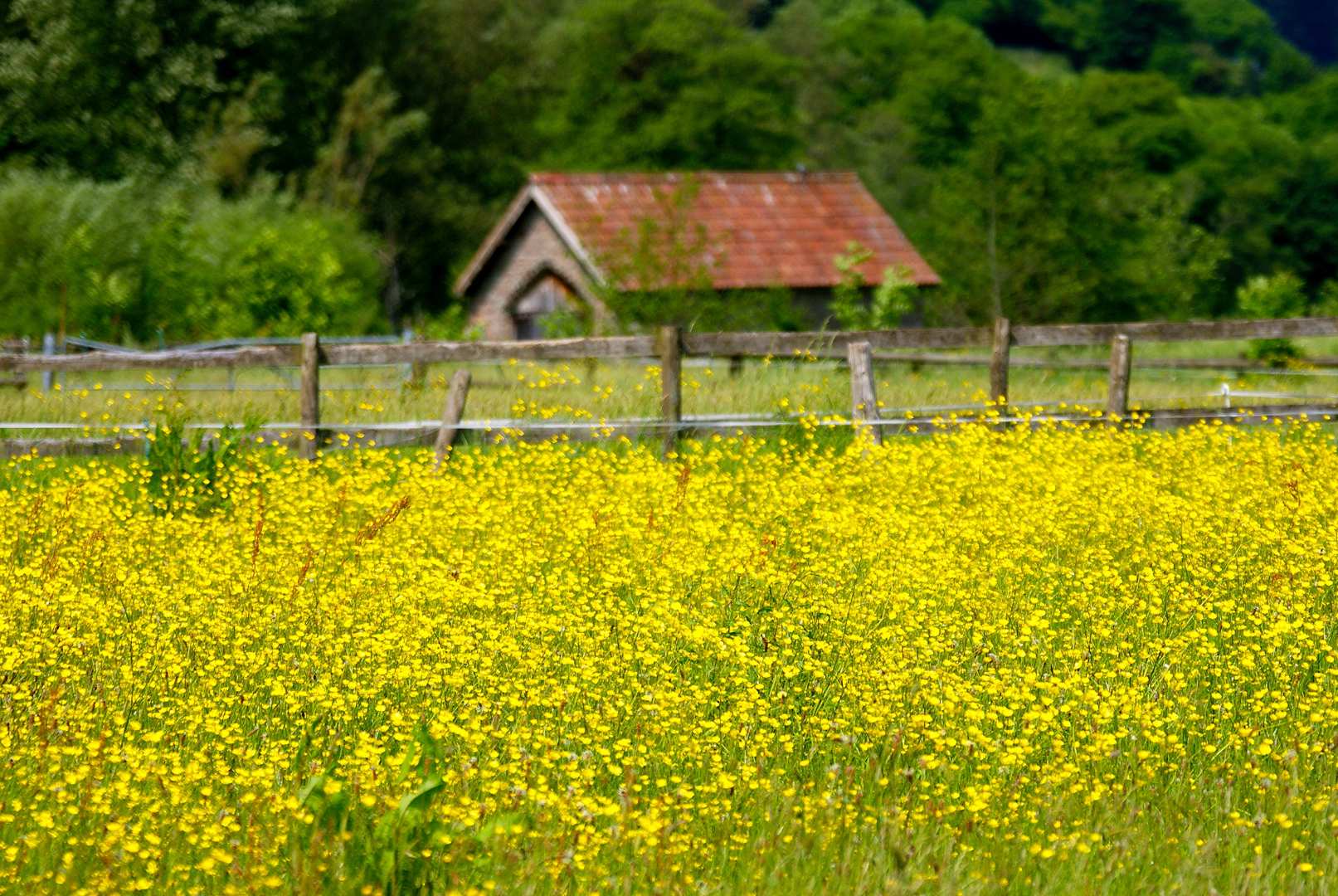 Wye Valley Walk — Contours Walking Holidays
