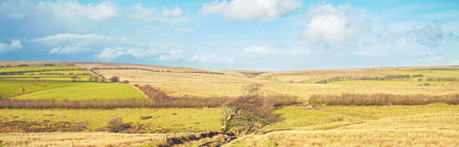 Tarka Trail — Contours Walking Holidays